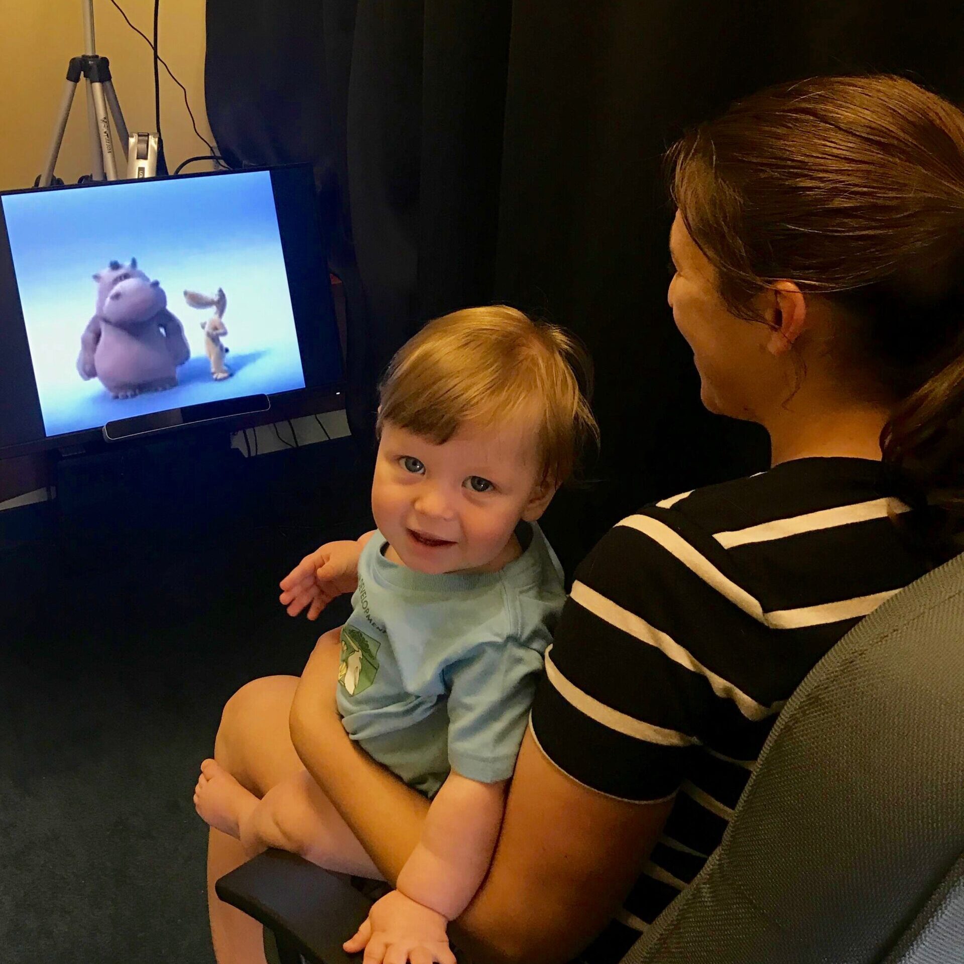 Attention and Learning in Childhood – Learning and Brain Development Lab